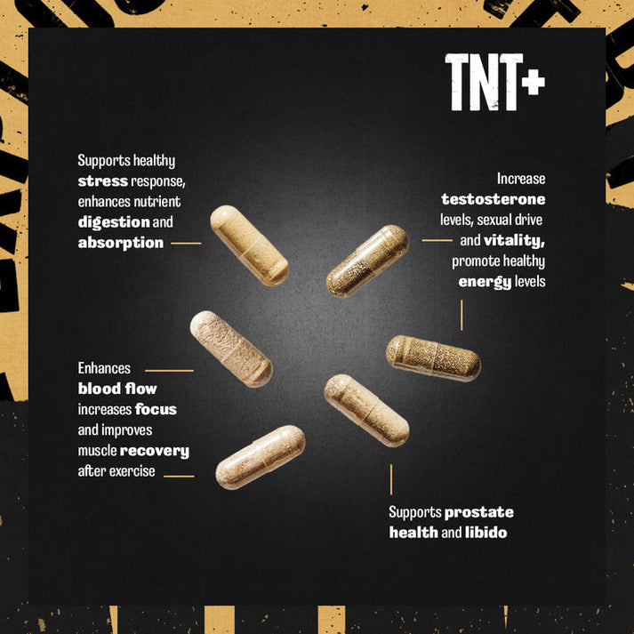 Animal TNT+ – India's Leading Genuine Supplement Retailer